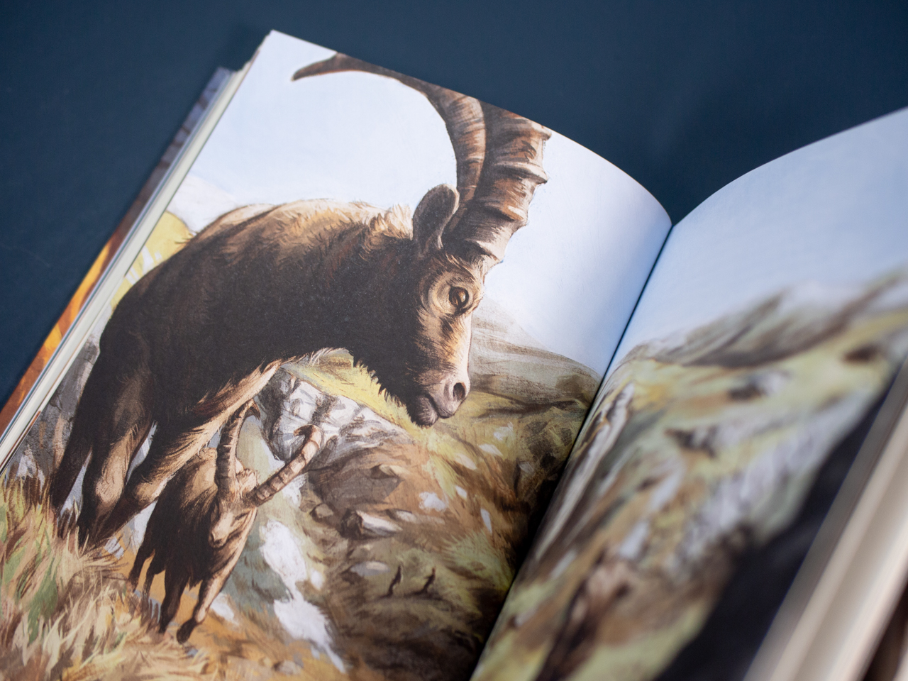 Fred in der Eiszeit – karl uhlenbrock